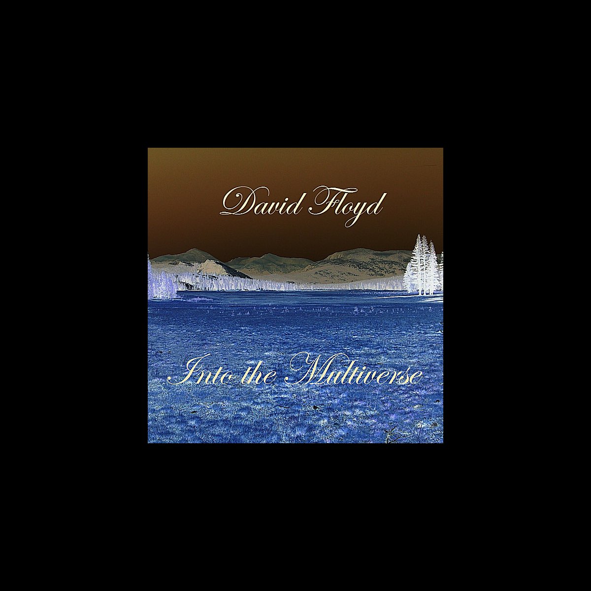 ‎Into the Multiverse (feat. Michael "Maestro" John Aurora) - EP - Album by David Floyd - Apple Music