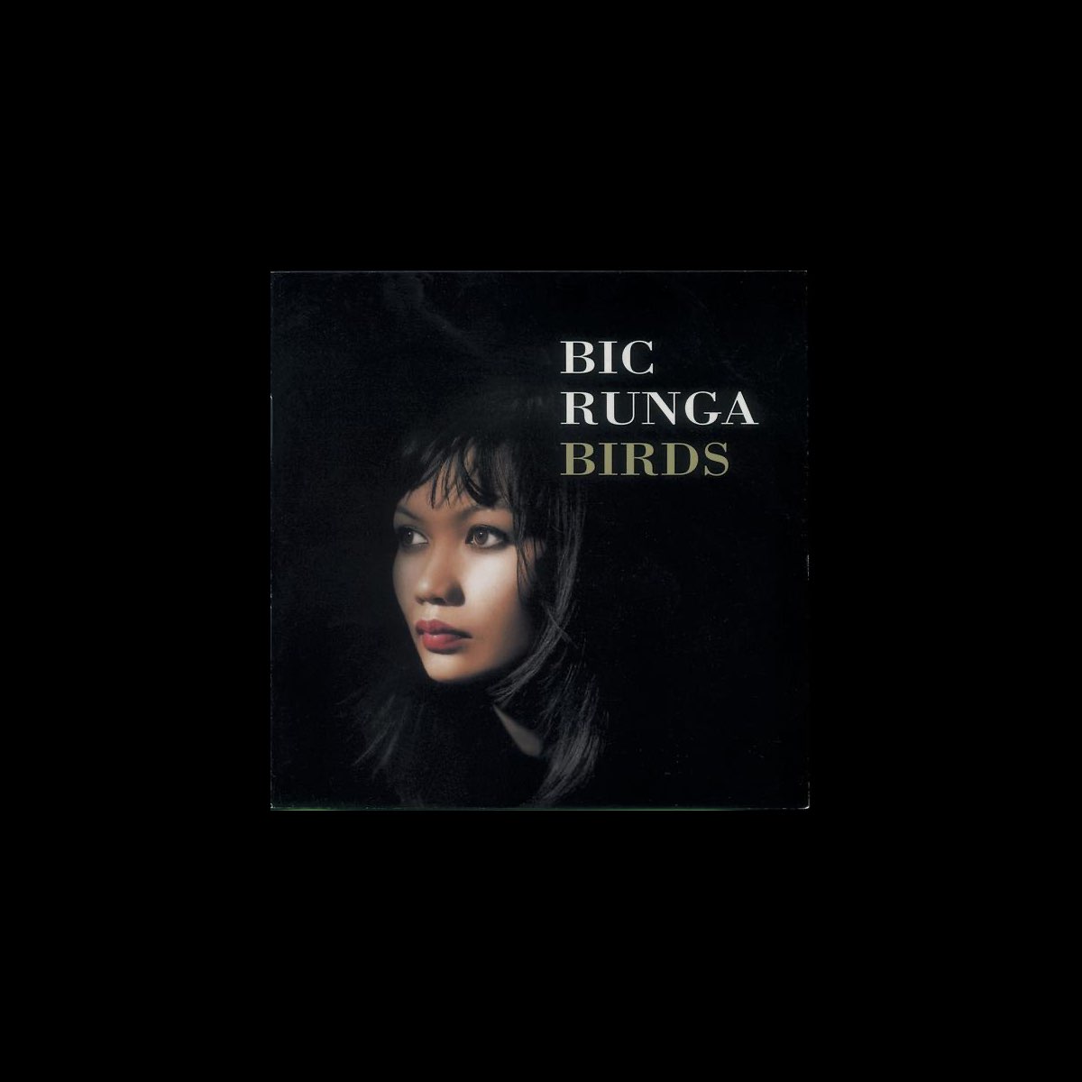 ‎Birds - Album by Bic Runga - Apple Music