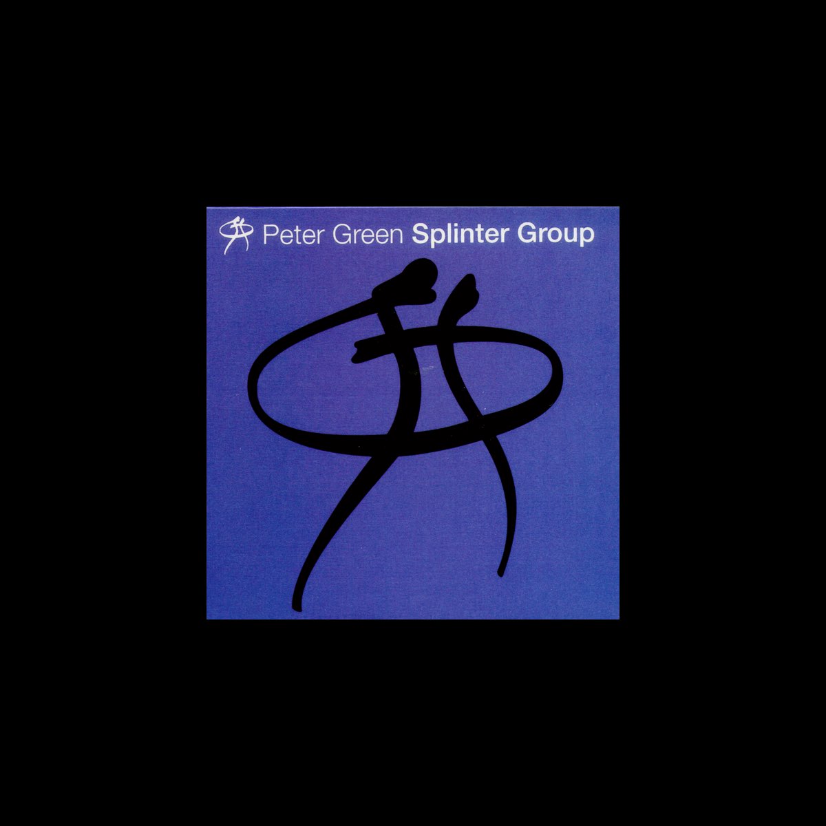 ‎Splinter Group - ピーター・グリーンのアルバム - Apple Music