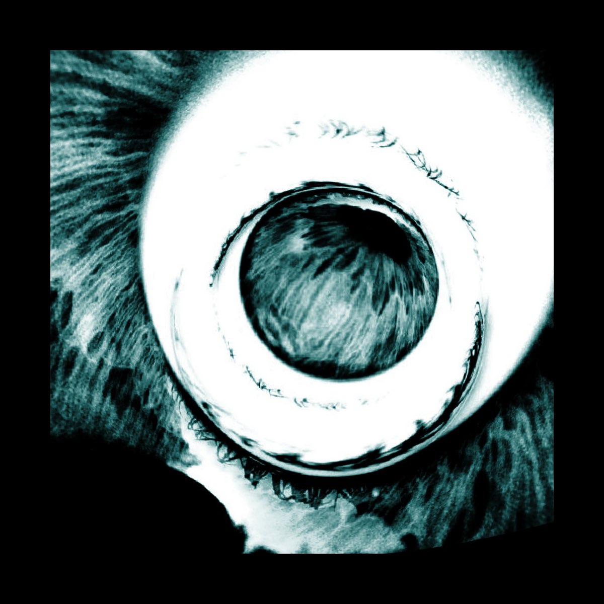 ‎We Tried to Get to Heaven But Ended Up in Space - Album by ...
