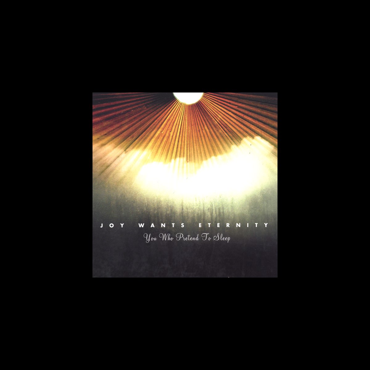 ‎You Who Pretend to Sleep - Joy Wants Eternity的專輯 - Apple Music