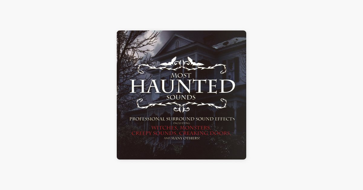 Professional Surround Recording Effects - The Cemetery