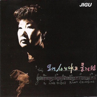 HyeonMi Representative Music Vowel (현미대표곡모음) - album by HyeonMi (현미)