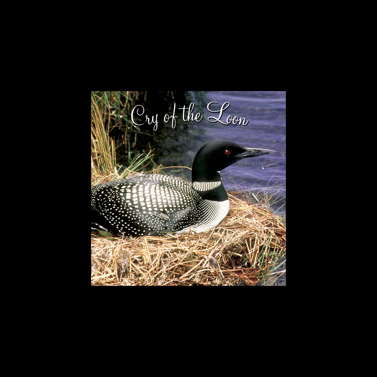 ‎Cry of the Loon Playersの「Cry of the Loon」をApple Musicで