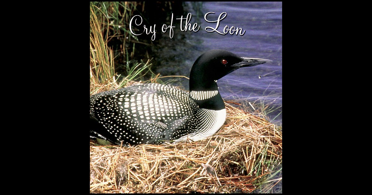 ‎Cry of the Loon - Cry of the Loon Playersのアルバム - Apple Music