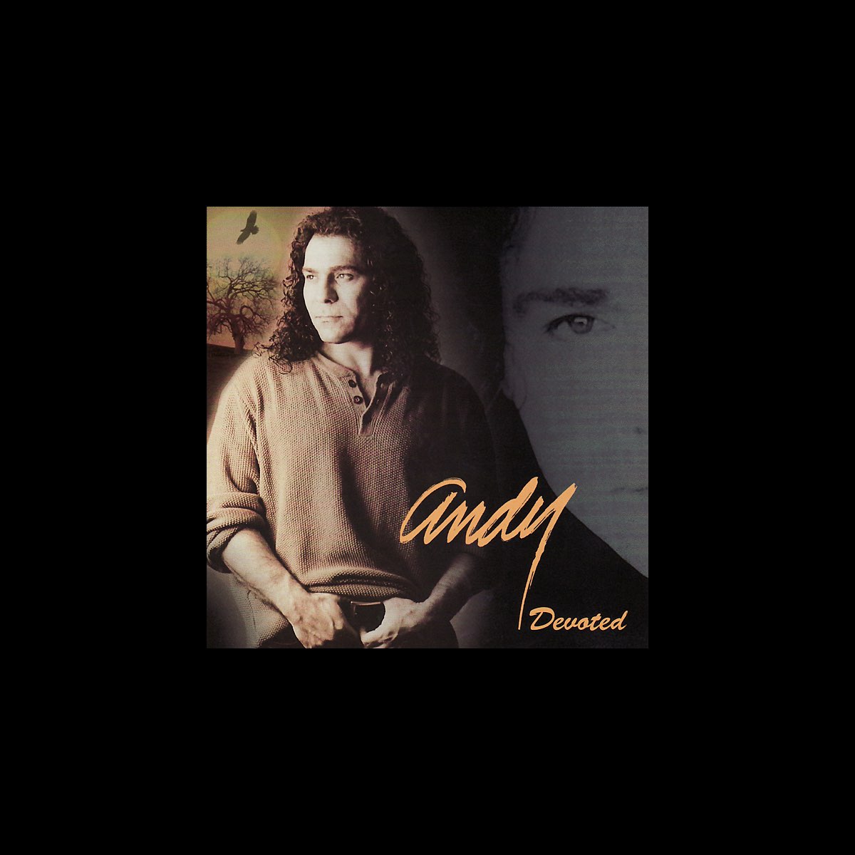 ‎Devoted - Album by Andy - Apple Music