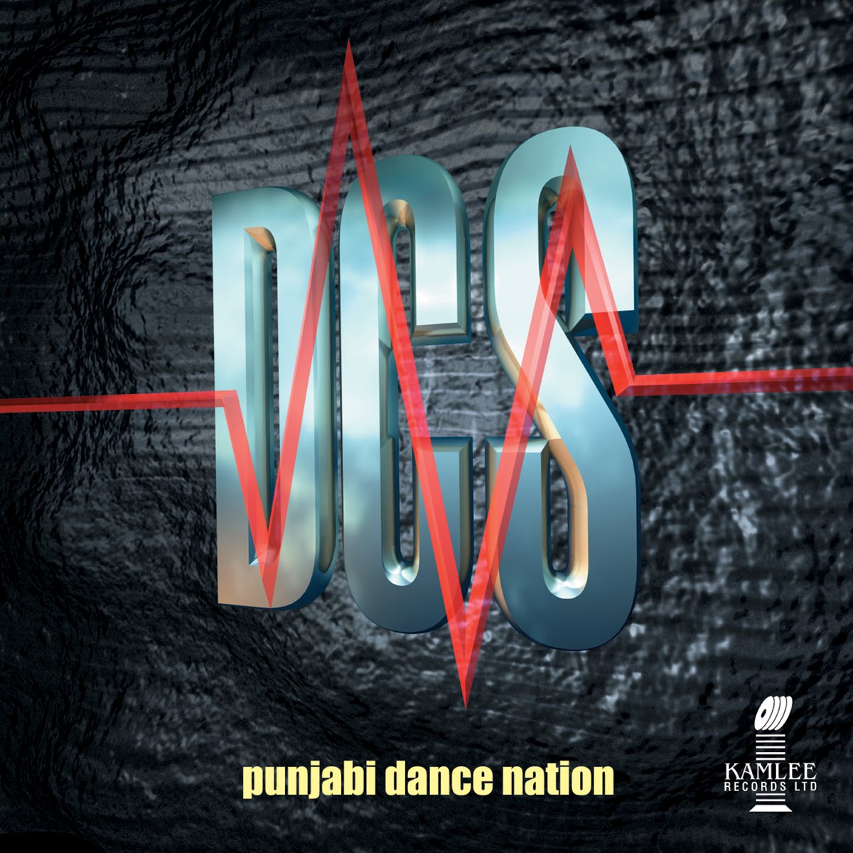 ‎Punjabi Dance Nation - Album by DCS - Apple Music