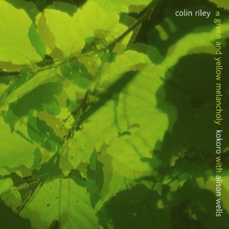 Taking leaves - Colin Riley: Song Lyrics, Music Videos & Concerts