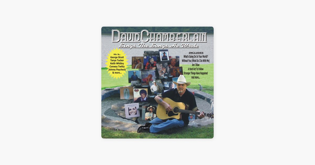 ‎What's Going On In Your World – Song by David Chamberlain – Apple Music