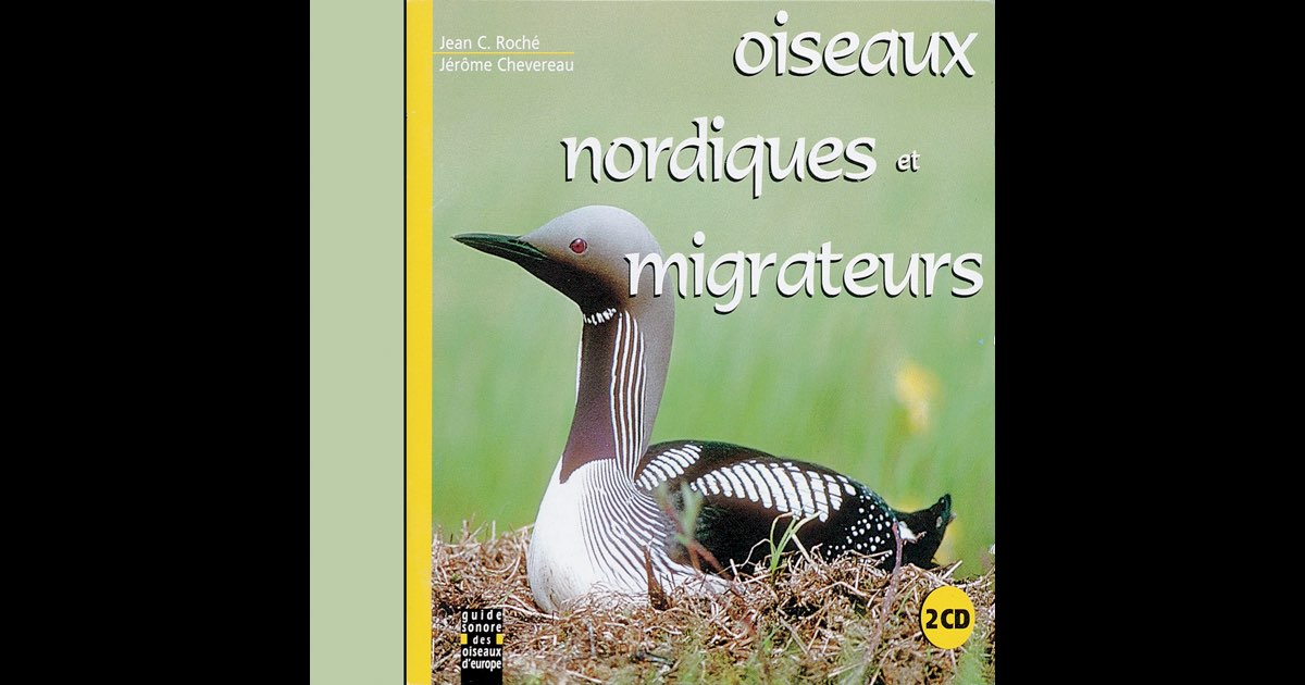 ‎Nordic And Migratory Birds - Various Artistsのアルバム - Apple Music