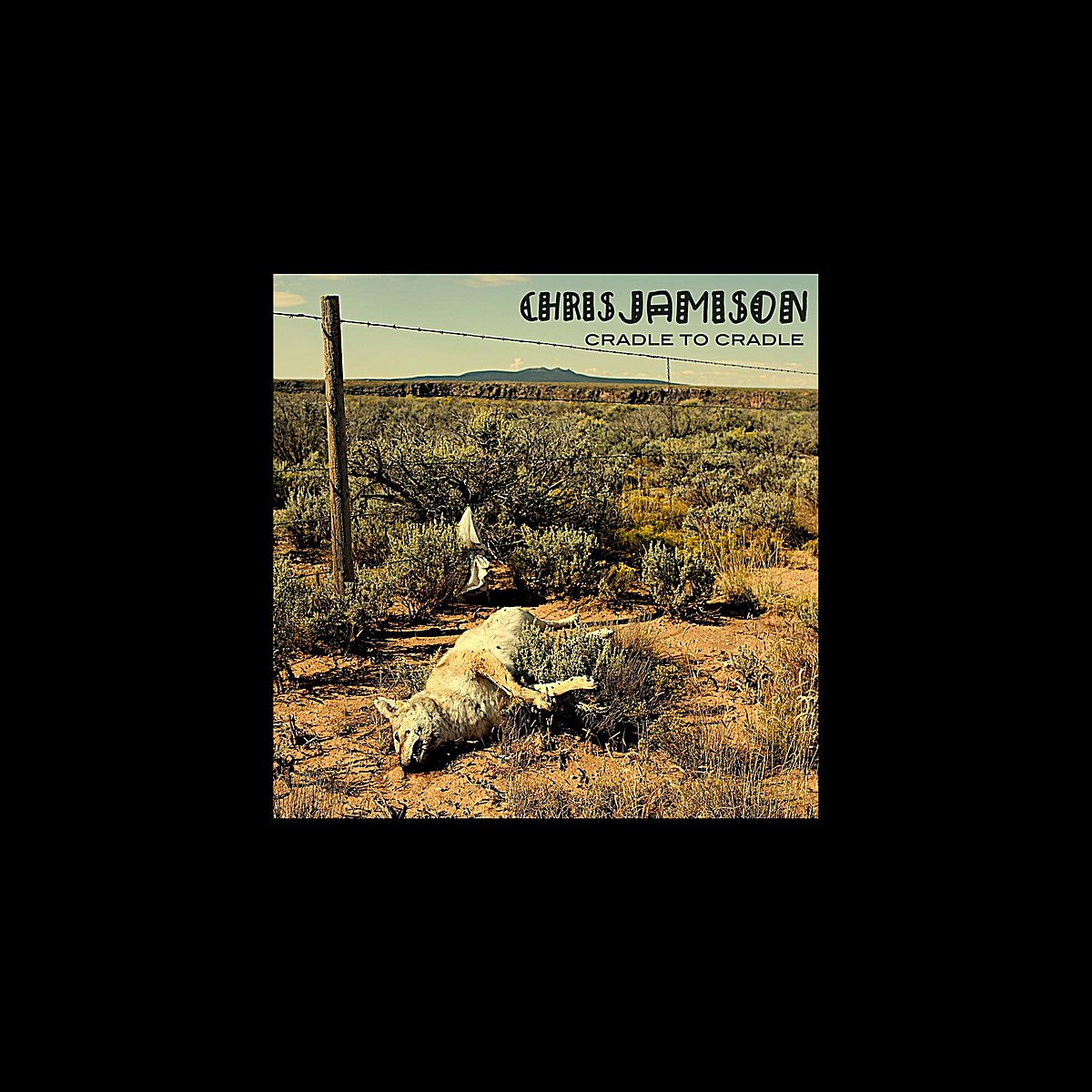 ‎Cradle to Cradle - Album by Chris Jamison - Apple Music