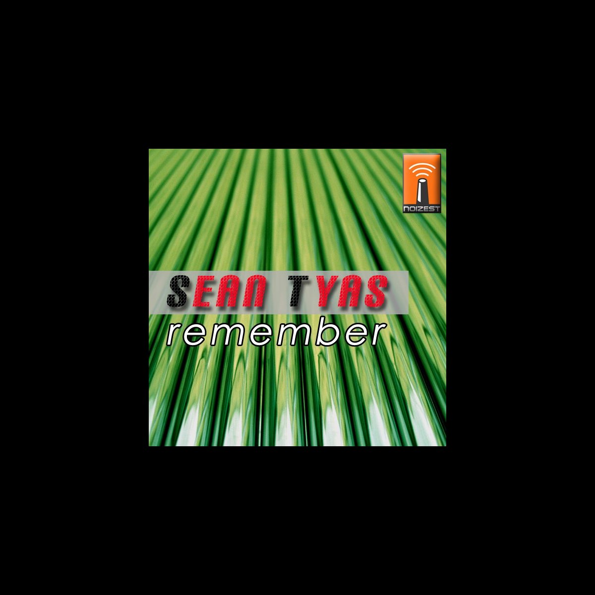 Remember - EP” álbum de Sean Tyas en Apple Music