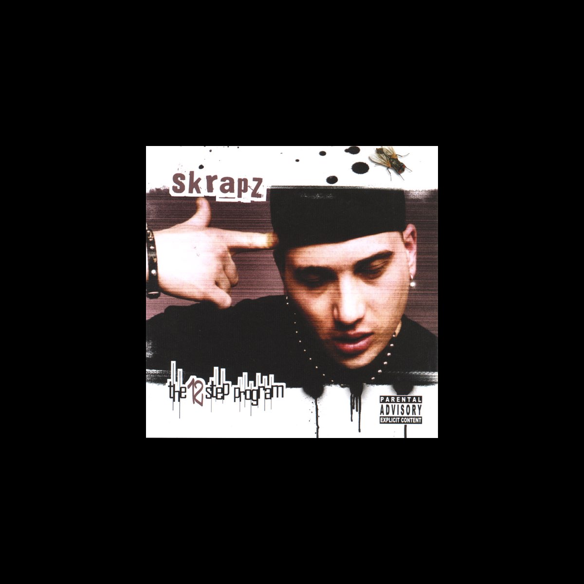The 12 Step Program” álbum de Skrapz en Apple Music