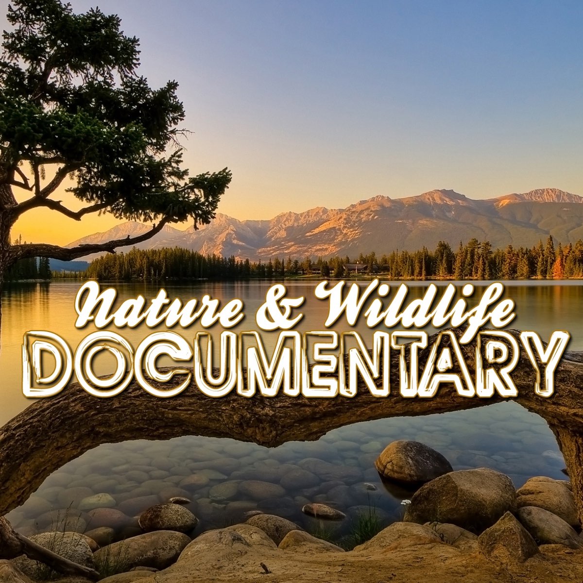 ‎Nature & Wildlife Documentary (Music for Documentaries, Ambient, World ...