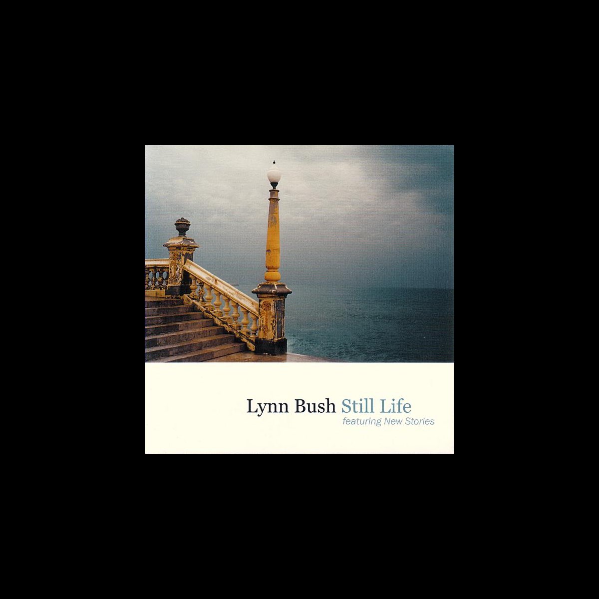 ‎Still Life Featuring New Stories - Lynn Bushのアルバム - Apple Music