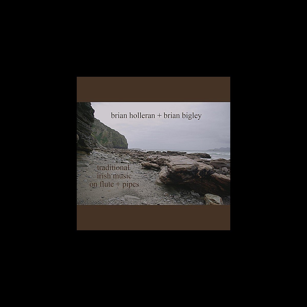 ‎Traditional Irish Music on Flute + Pipes - Album by Brian Holleran ...
