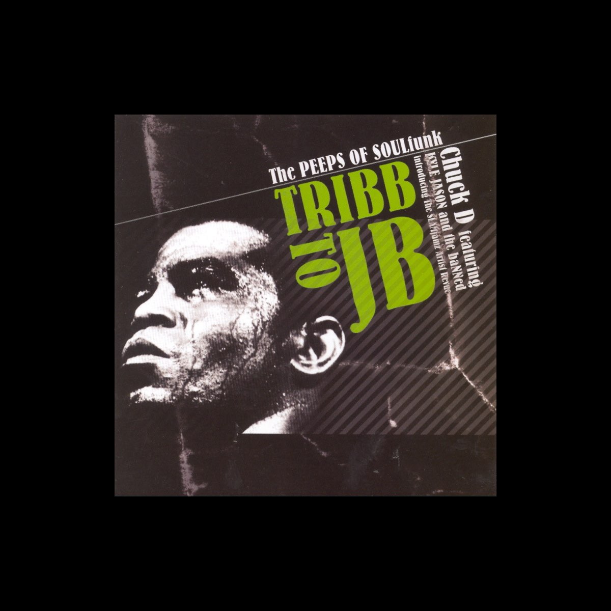‎Tribb to JB (feat. Kyle Jason and the baNNed) - Chuck D & The SLAMjamz ...