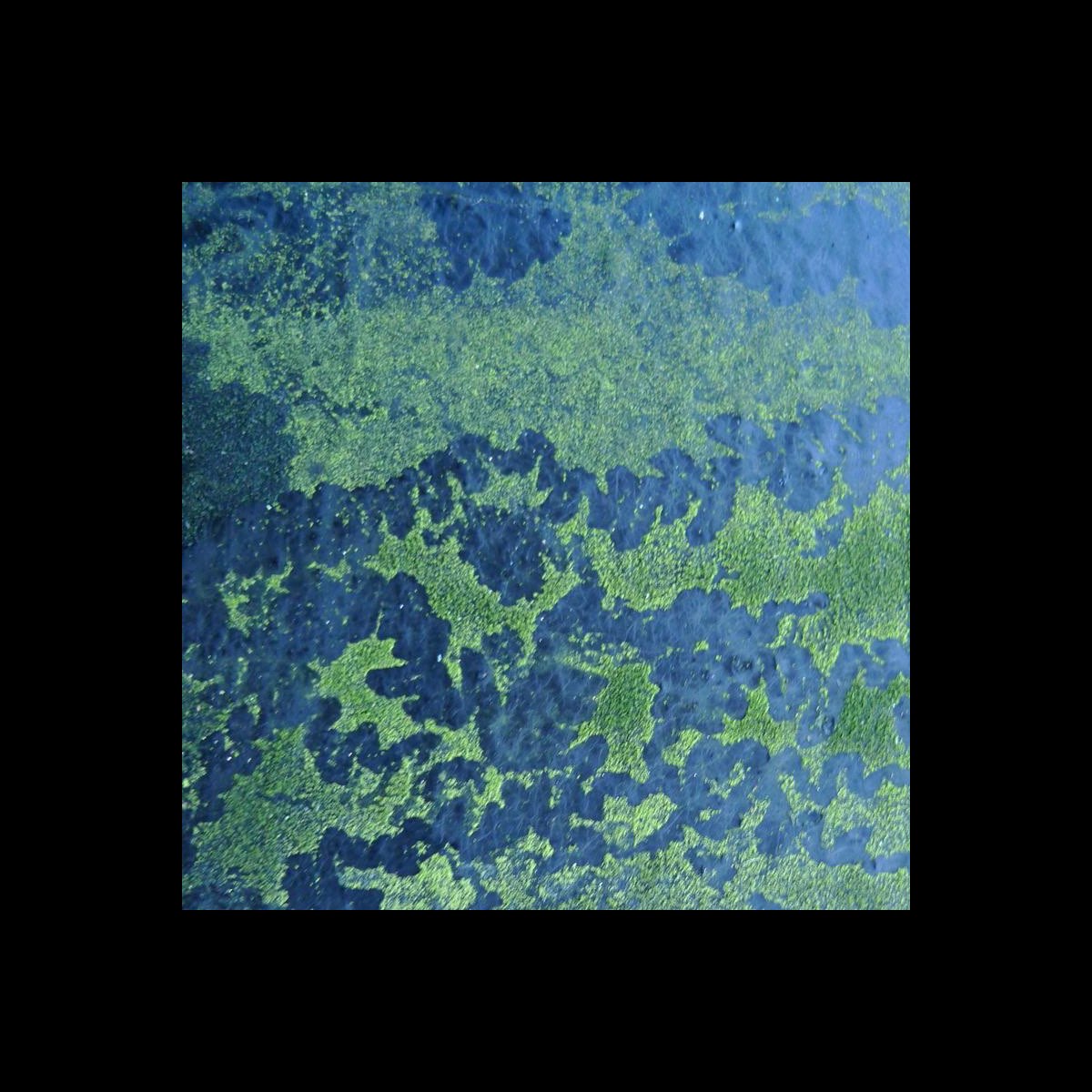 ‎Submerged - Album by Jana Winderen - Apple Music