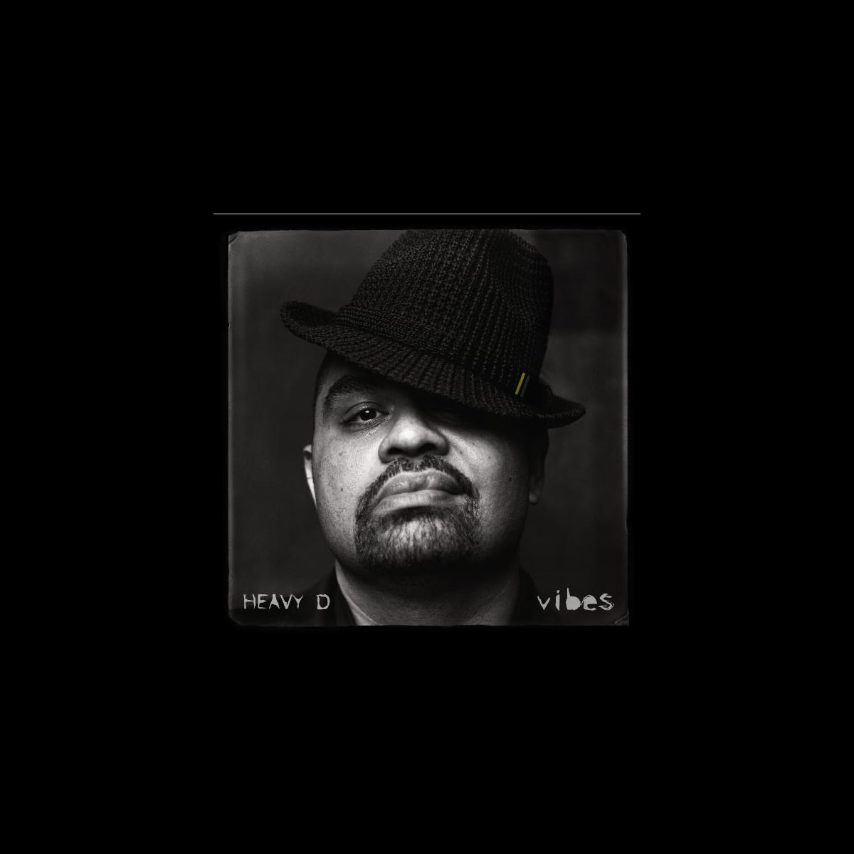 ‎Vibes (Deluxe Edition) - Album by Heavy D - Apple Music