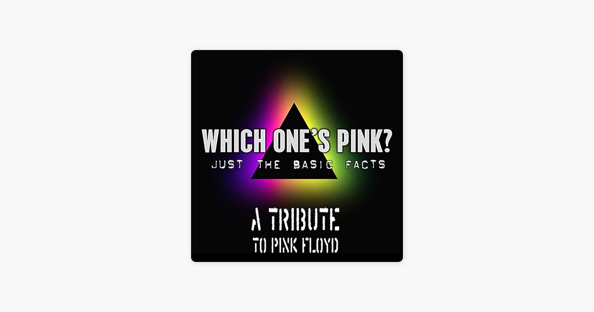 ‎Comfortably Numb - Song by Which One's Pink? - Apple Music