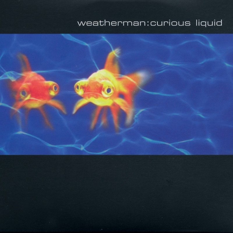 Silk Root - Weatherman: Song Lyrics, Music Videos & Concerts Silk Root - Weatherman: Song Lyrics, Music Videos & Concerts