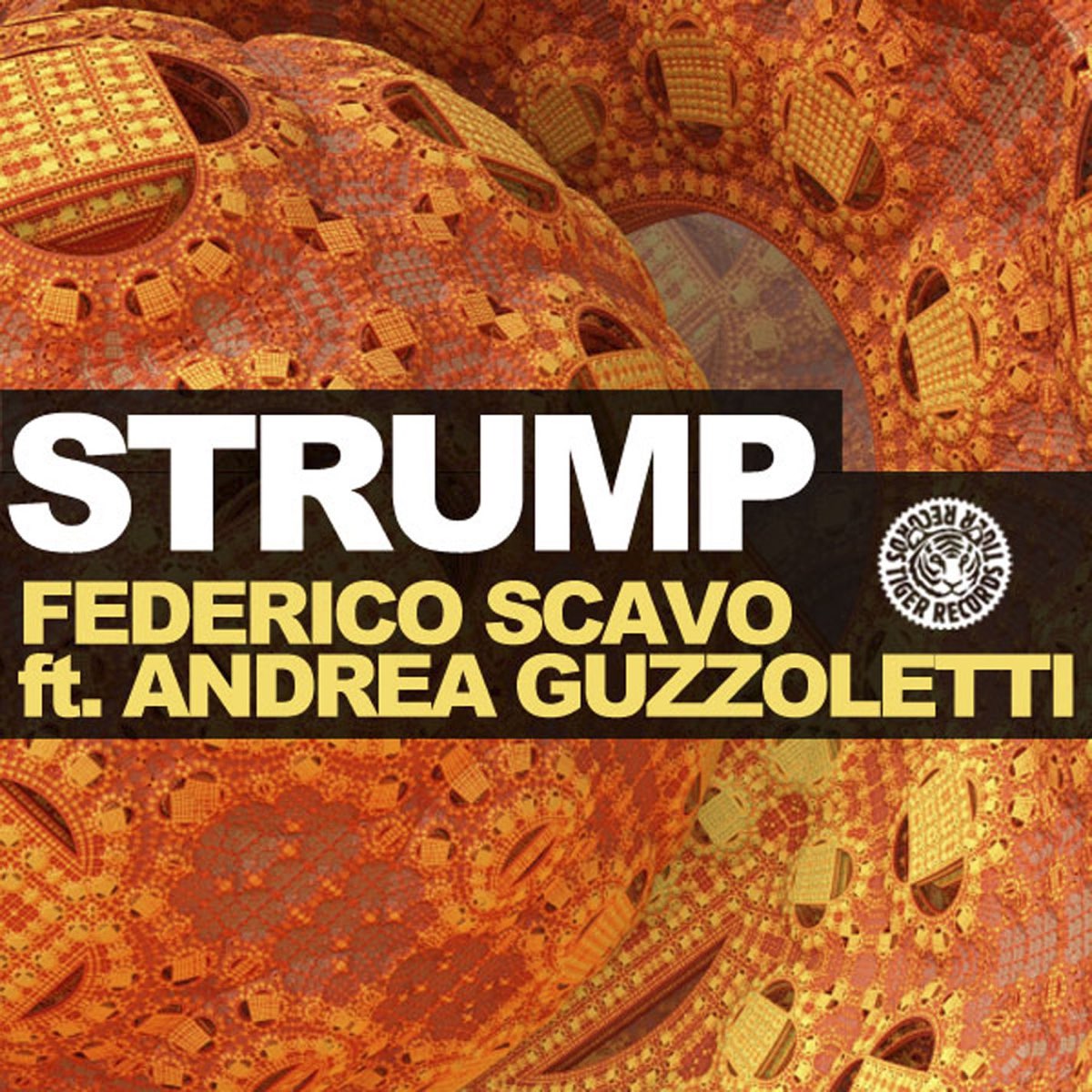 ‎Strump (feat. Andrea Guzzoletti) - EP - Album by Federico Scavo ...