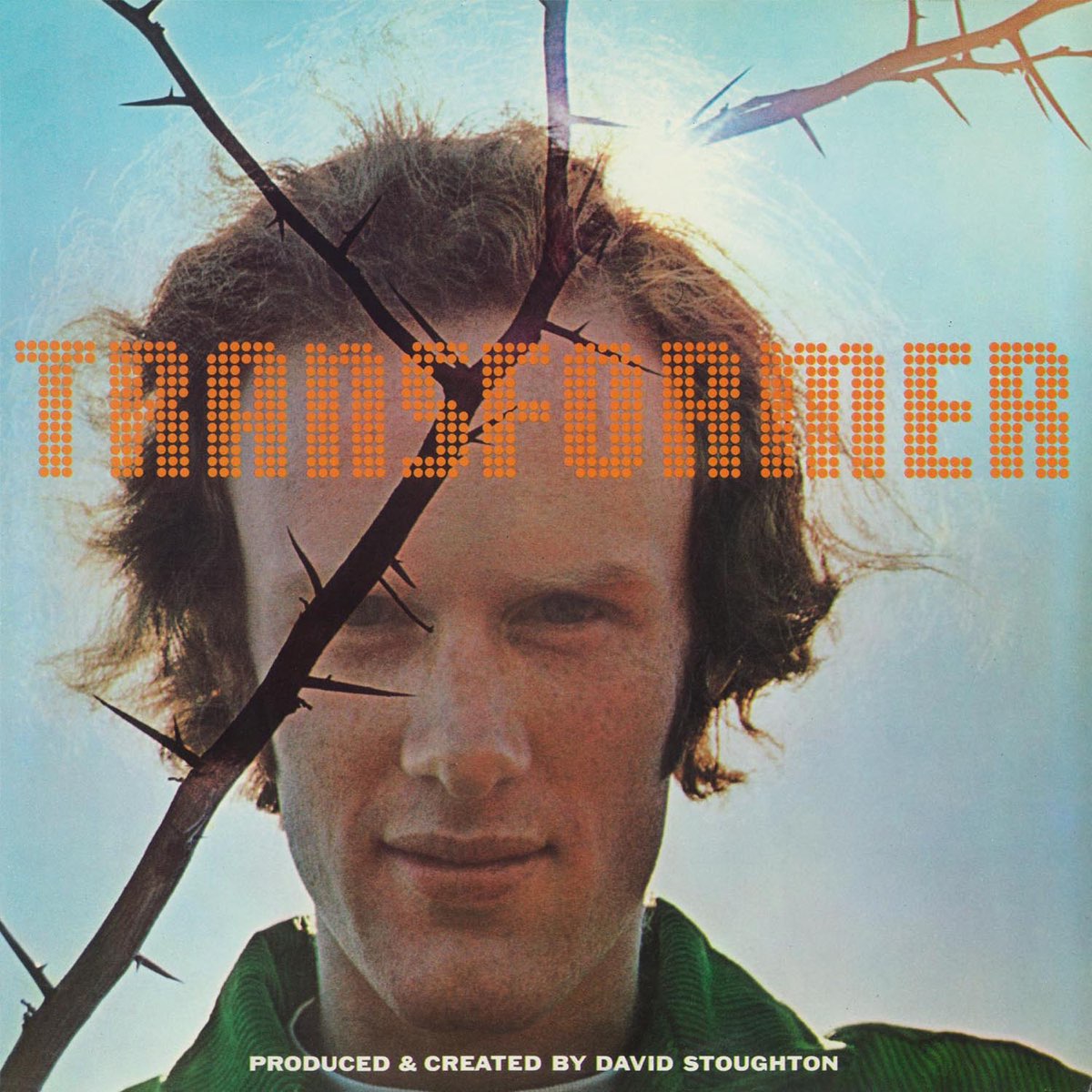 ‎Transformer - Album di David Stoughton - Apple Music