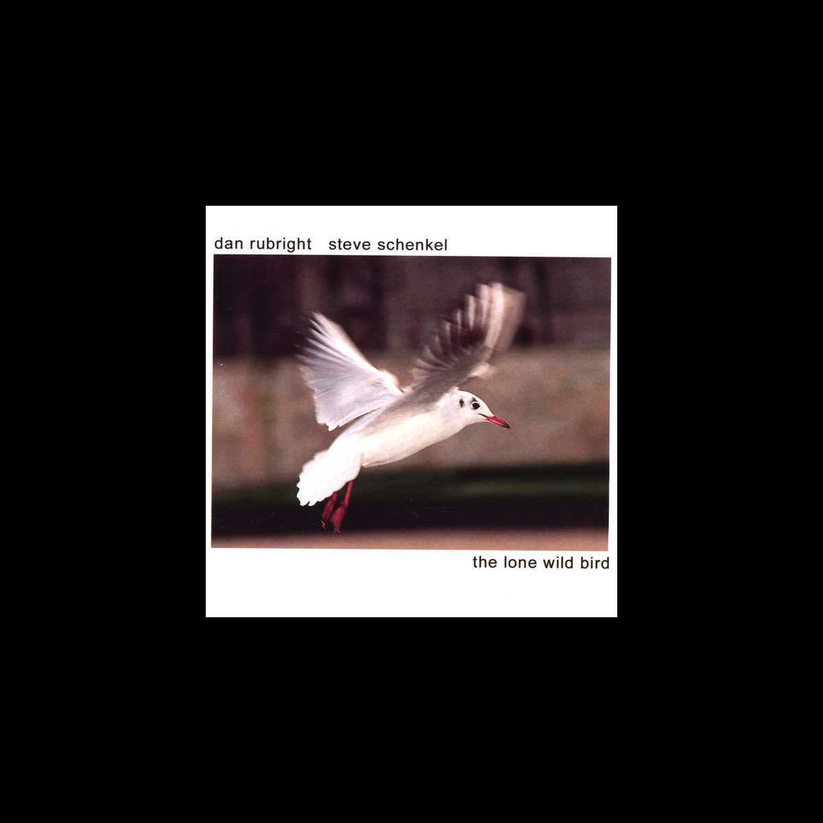 ‎The Lone Wild Bird - Album by Dan Rubright and Steve Schenkel - Apple ...