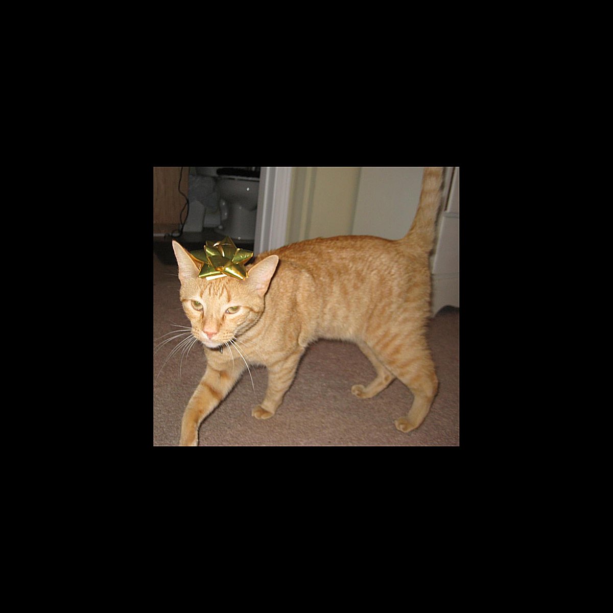 ‎Greatest Song Ever Written - Single by Beth Crowley on Apple Music