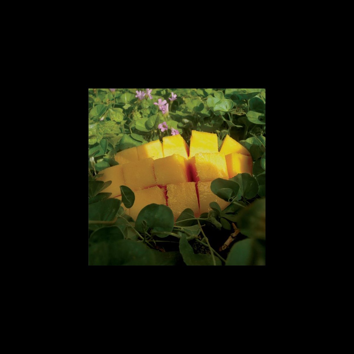 ‎Psychedelic Mango by Pond on Apple Music