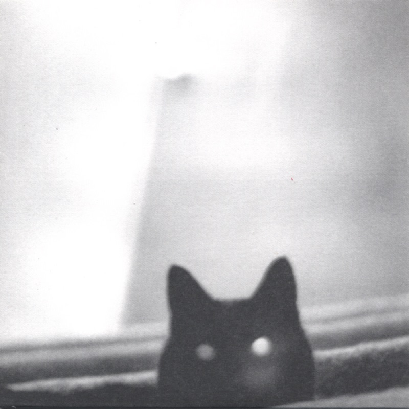 Basketball - Invisible Friend: Song Lyrics, Music Videos & Concerts