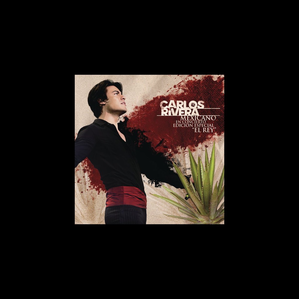 ‎Mexicano (En Concierto) [Edición Especial - "El Rey"] - Album by ...