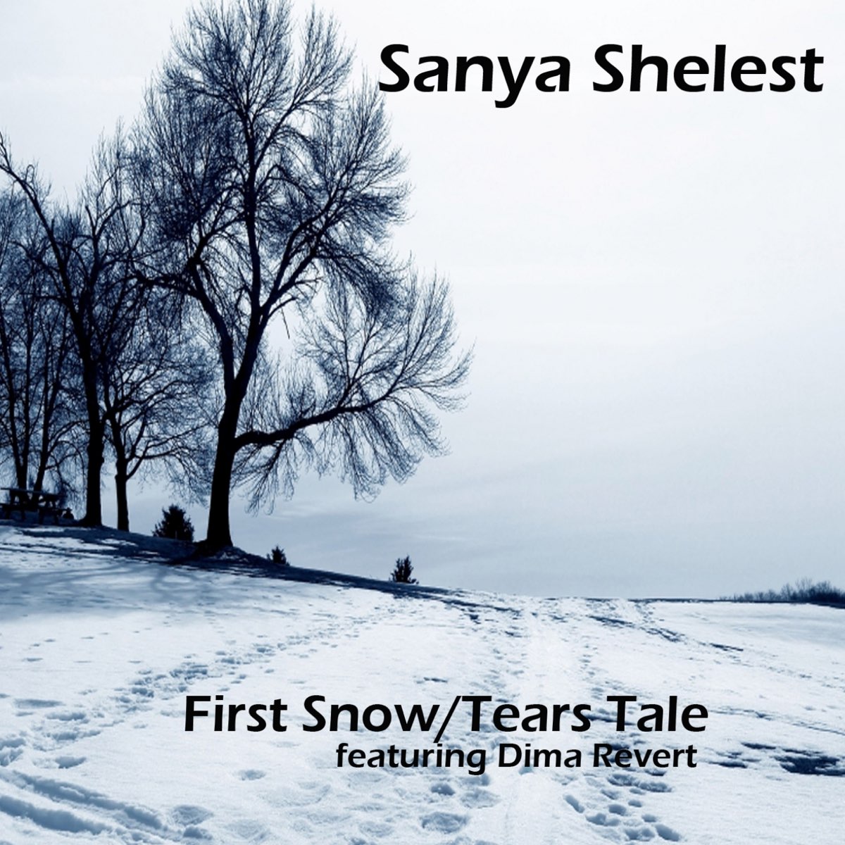 First Snow / Tears Tale》- Sanya Shelest的专辑 - Apple Music