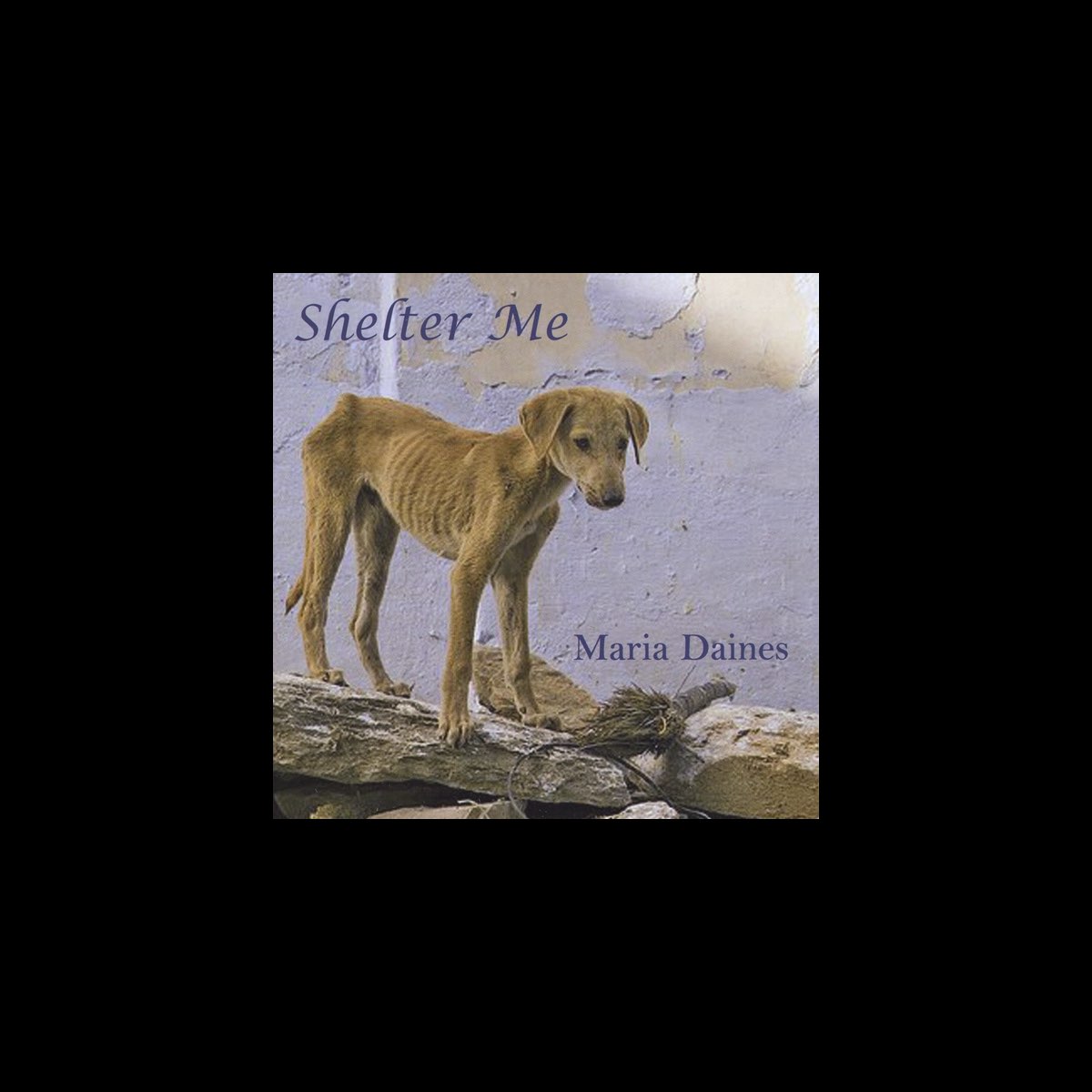 ‎Shelter Me - Album by Maria Daines - Apple Music