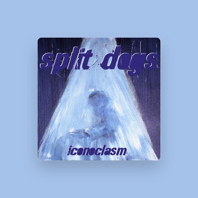 Split Dogs concert - Birmingham, The Dark Horse, Jun 03, 2025, 7:00 PM 🎤