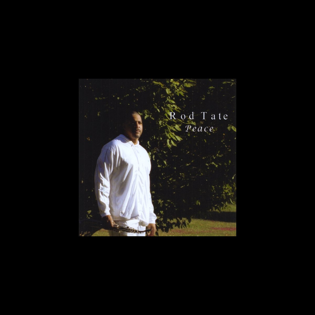 ‎Peace - Album by Rod Tate - Apple Music