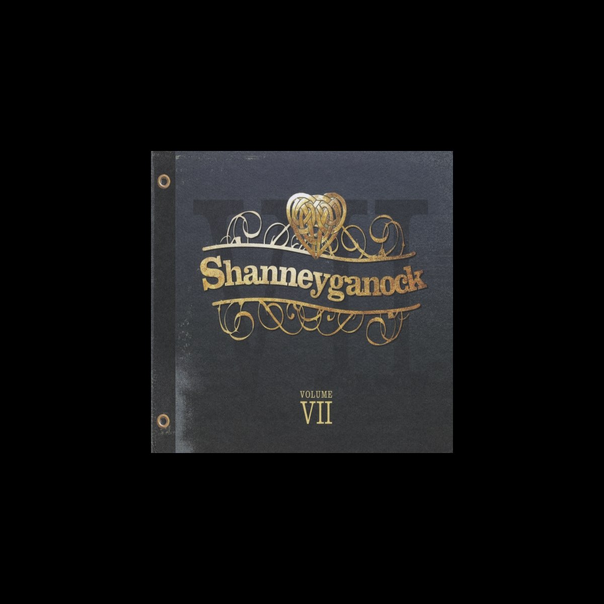 ‎Volume VII - Album by Shanneyganock - Apple Music