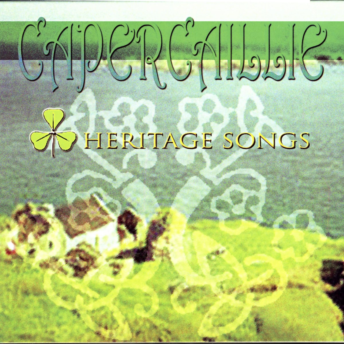 Heritage Songs》- Capercaillie的专辑 - Apple Music