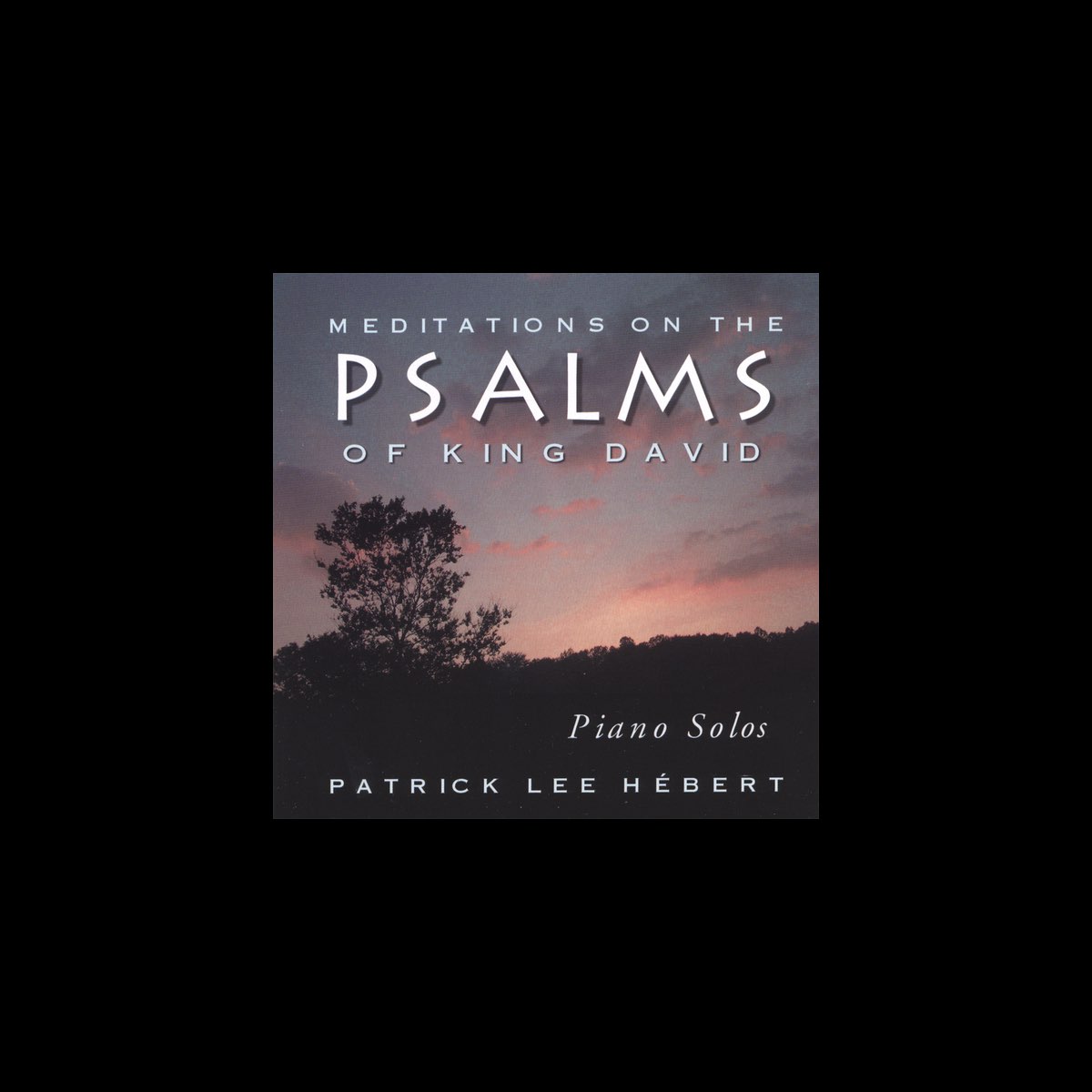 ‎Meditations On the Psalms of King David - Album by Patrick Lee Hebert ...