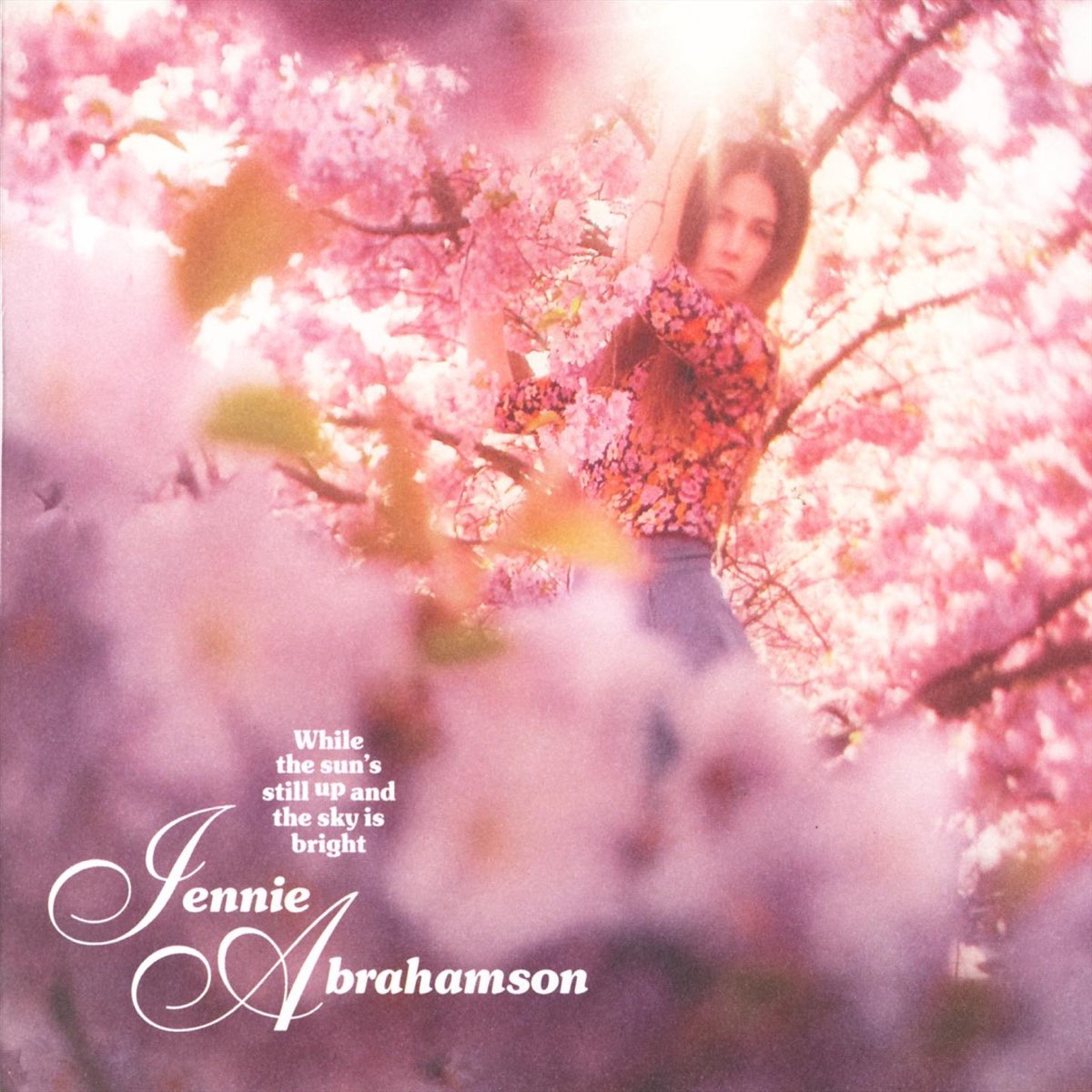 ‎While the Sun's Up and the Sky Is Bright — álbum de Jennie Abrahamson ...
