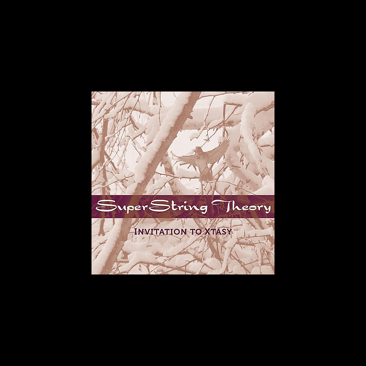‎Invitation to Xtasy - Album by SuperString Theory - Apple Music