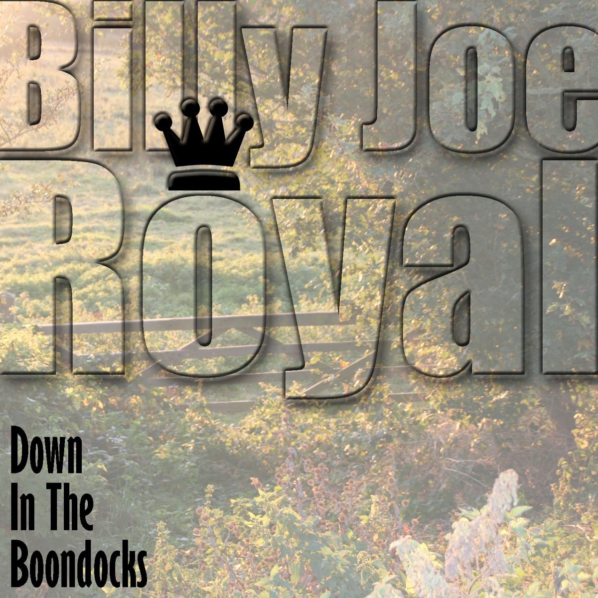 ‎Down In The Boondocks - Album by Billy Joe Royal - Apple Music