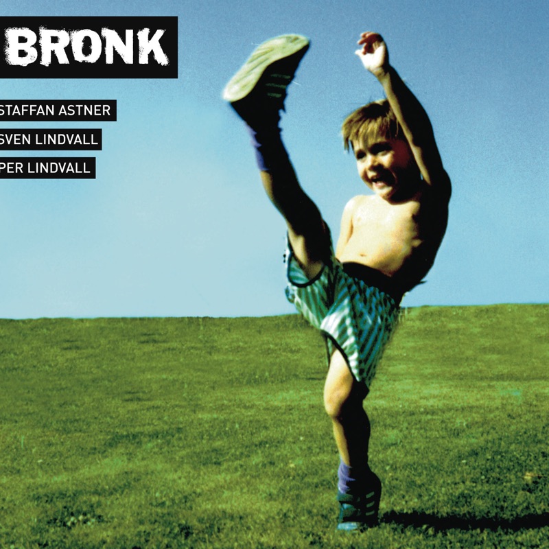 Let's Straighten It Out (feat. Sven Zetterberg) - Bronk: Song Lyrics ...