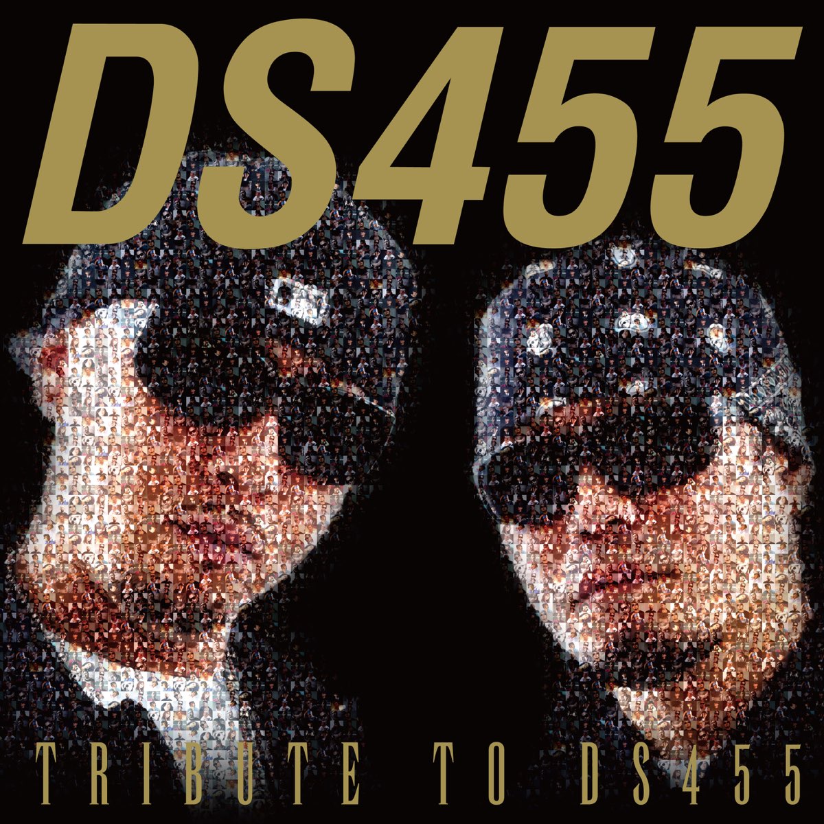 ‎TRIBUTE TO DS455 - Album by Various Artists - Apple Music