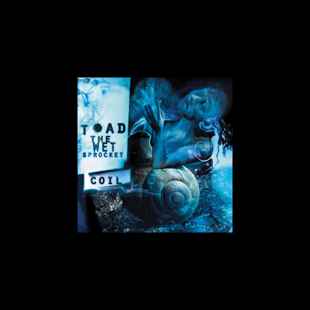 ‎Coil - Album by Toad the Wet Sprocket - Apple Music