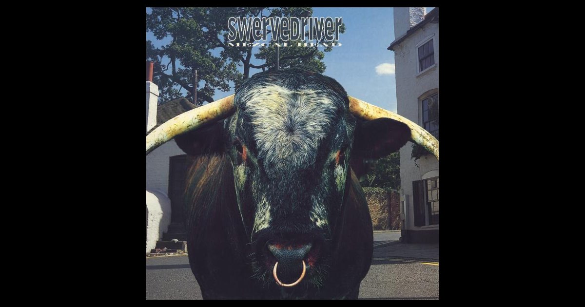 ‎Mezcal Head - Album by Swervedriver - Apple Music