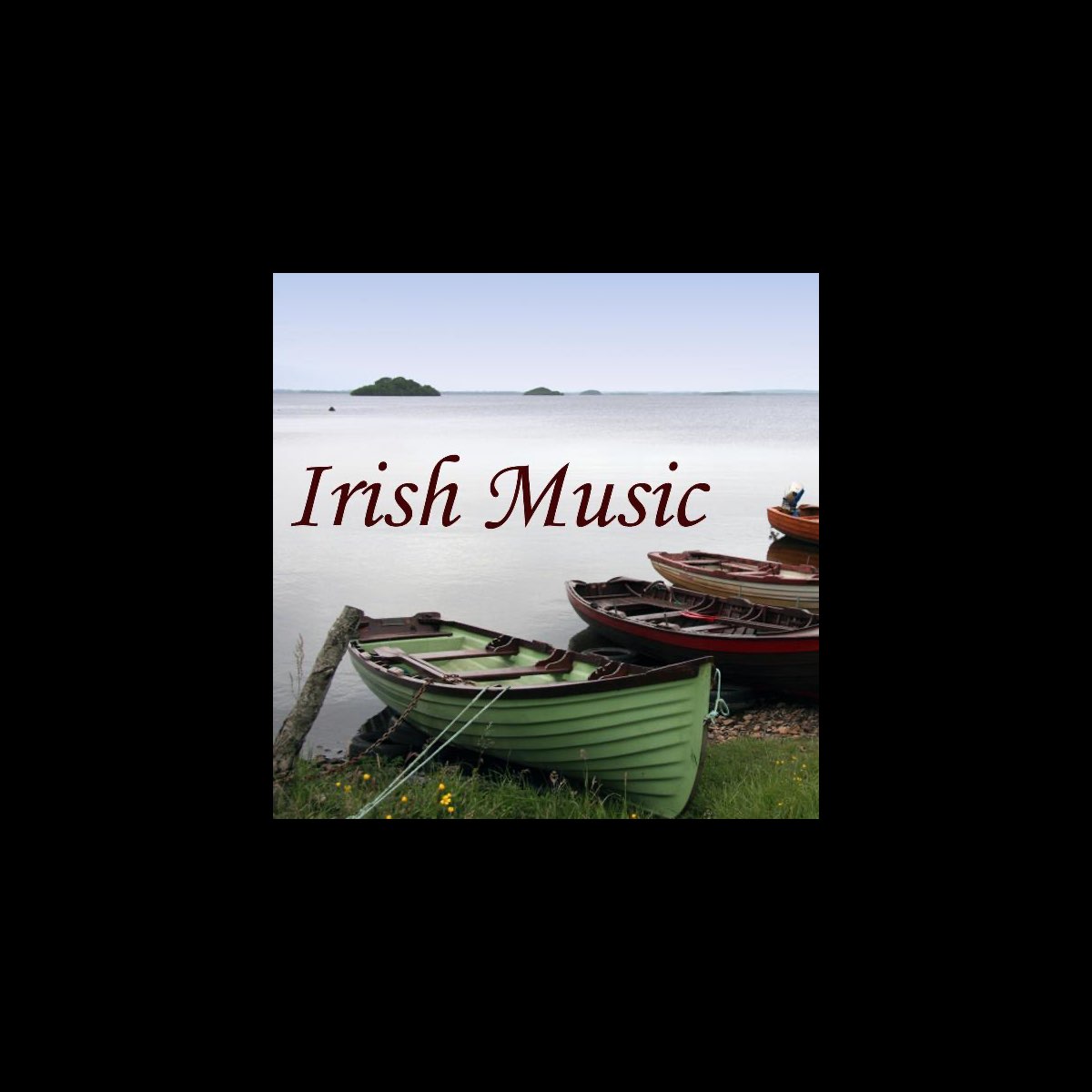 ‎Irish Music - Instrumental - Album by Irish Songs Music - Apple Music