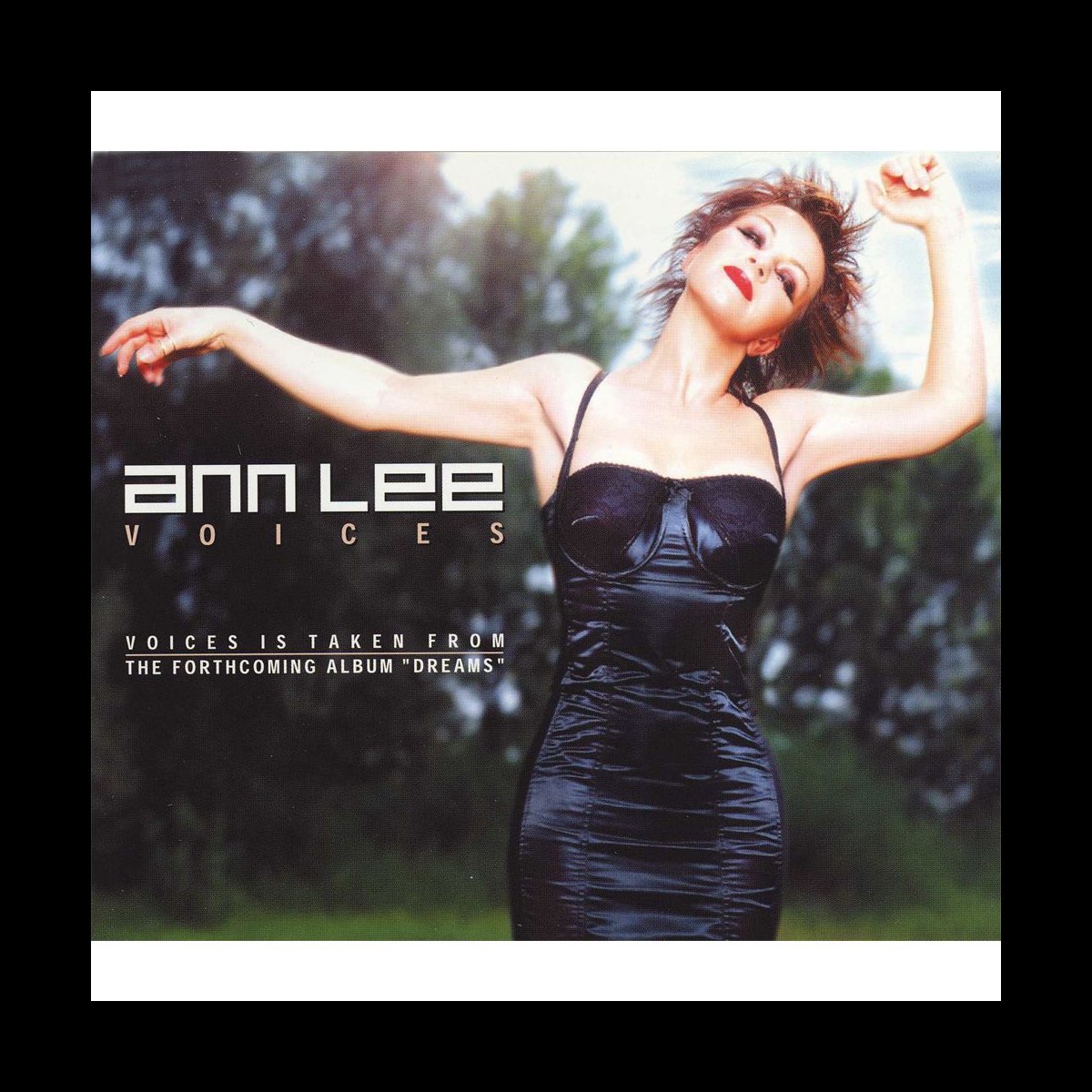 ‎Voices - Album by Ann Lee - Apple Music
