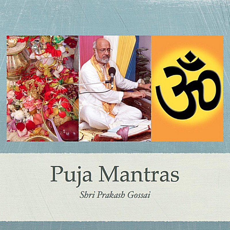 Peaceful Mantras & Hanuman Chalisa - Shri Prakash Gossai: Song Lyrics ...
