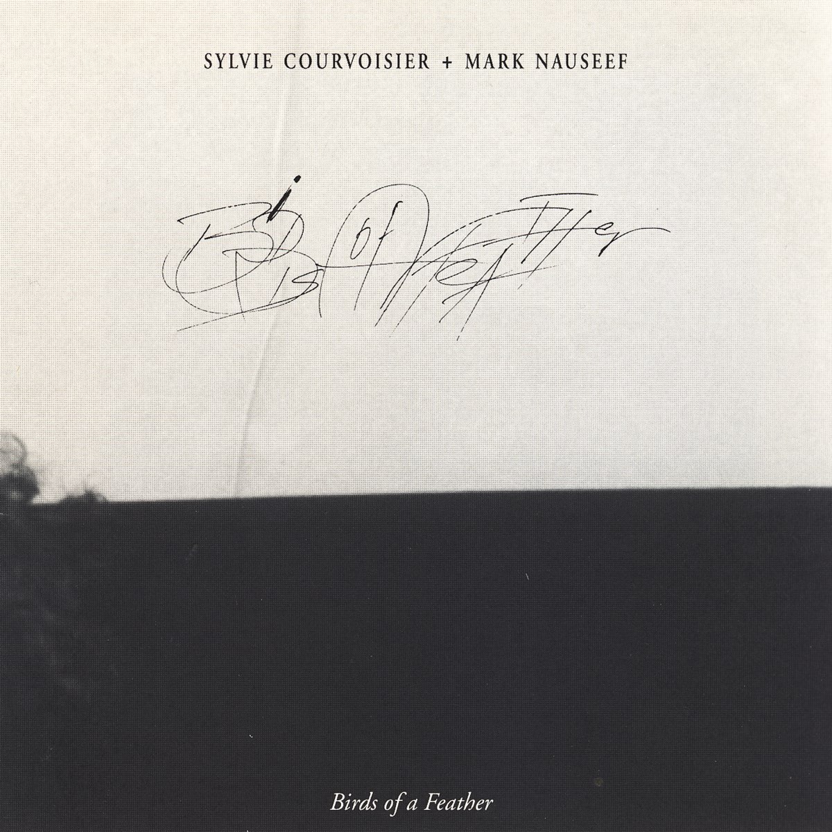 Birds of a Feather》- Sylvie Courvoisier & Mark Nauseef的专辑 - Apple Music